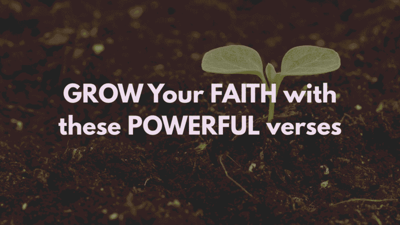 12 Powerful Bible Verses to Accelerate Your Spiritual Growth