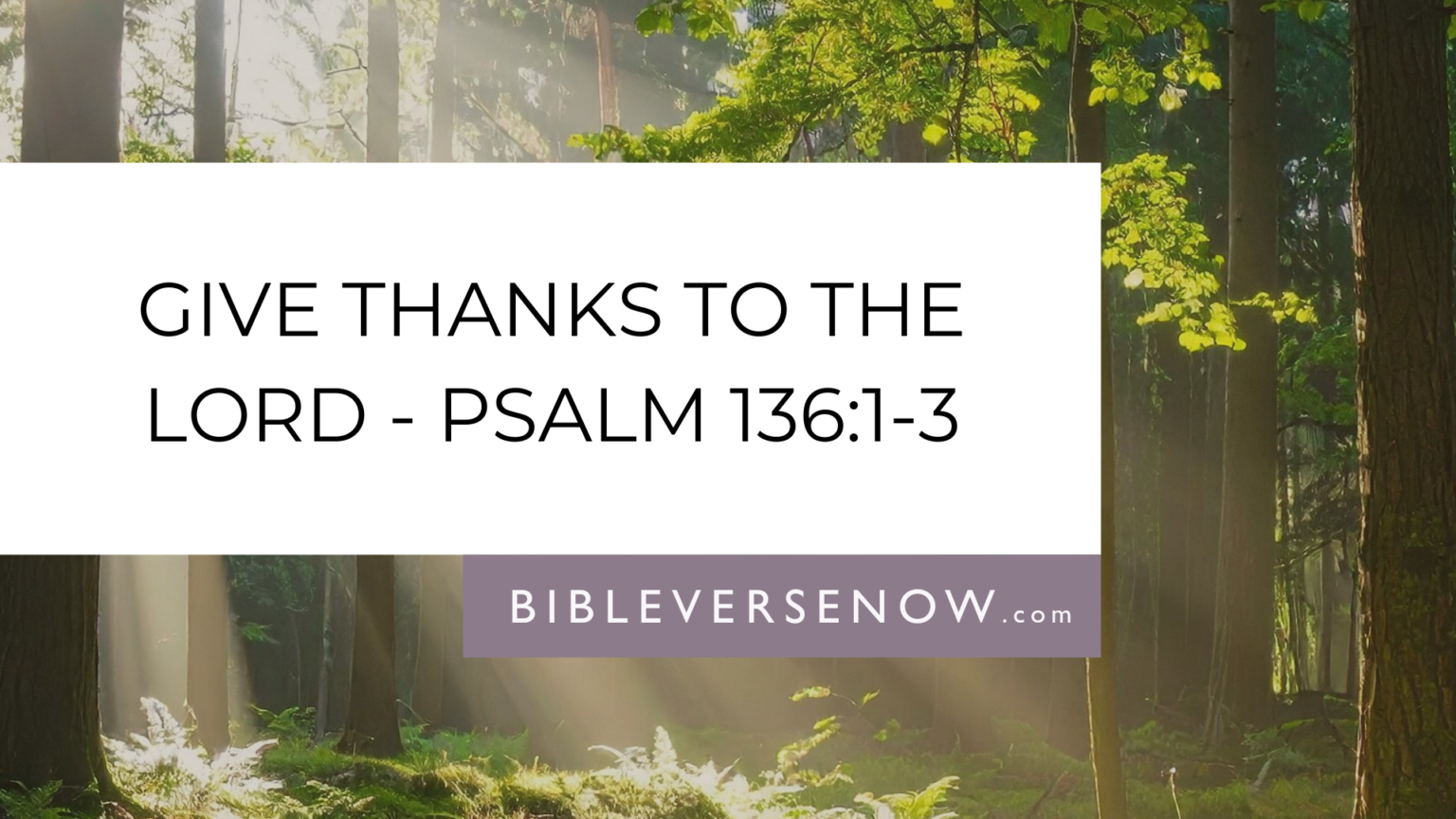 Psalm 136:1-3 Meaning: Give Thanks to the Lord Explained